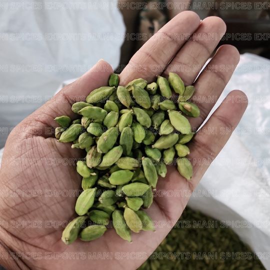 Varieties Green Cardamom Pods – Mani Spices